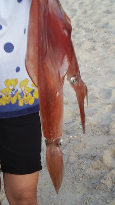 How to Make Delicious Crispy Calamari Rings | The Foodie FISHinista